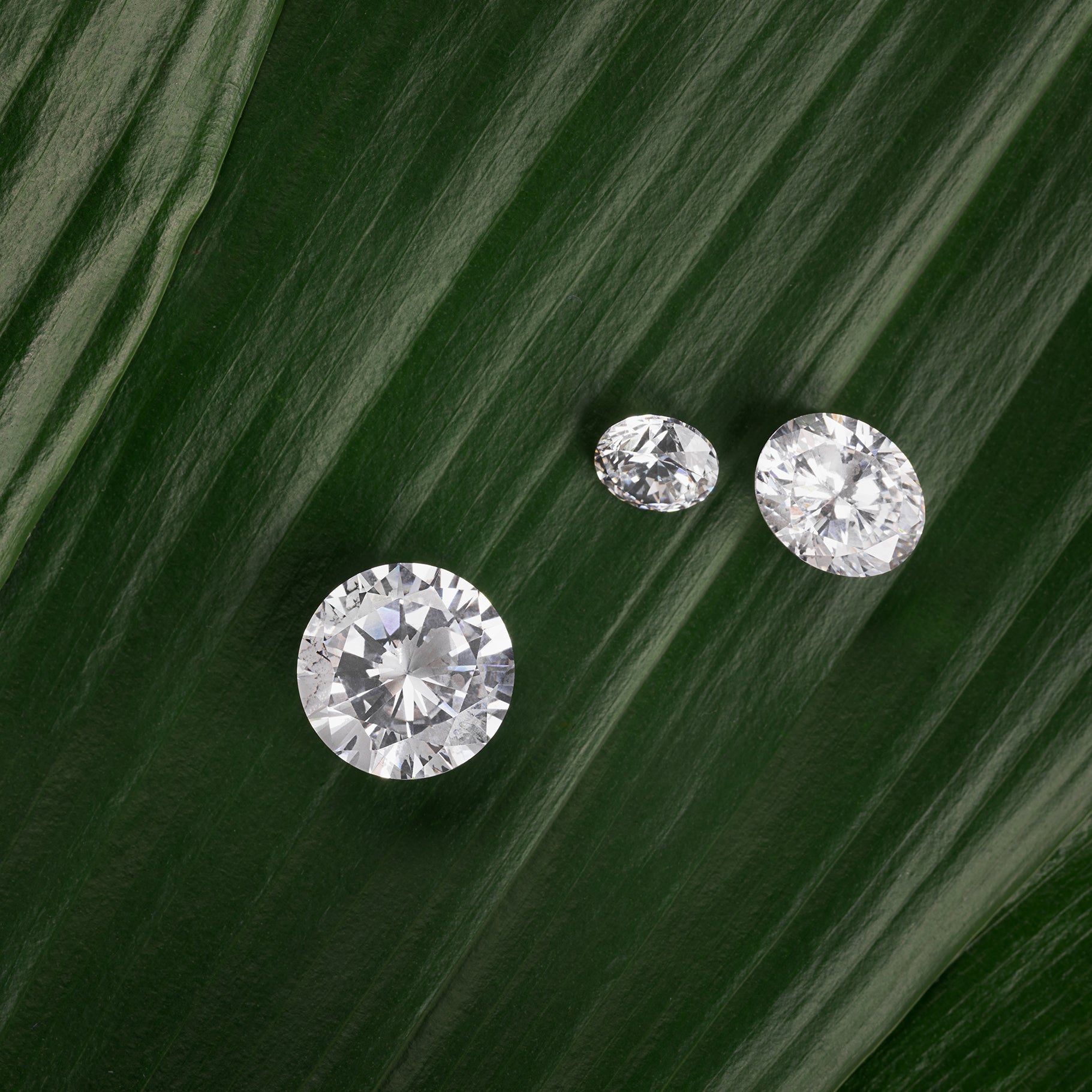 About Us | The History of Proud Diamond | Proud Diamond